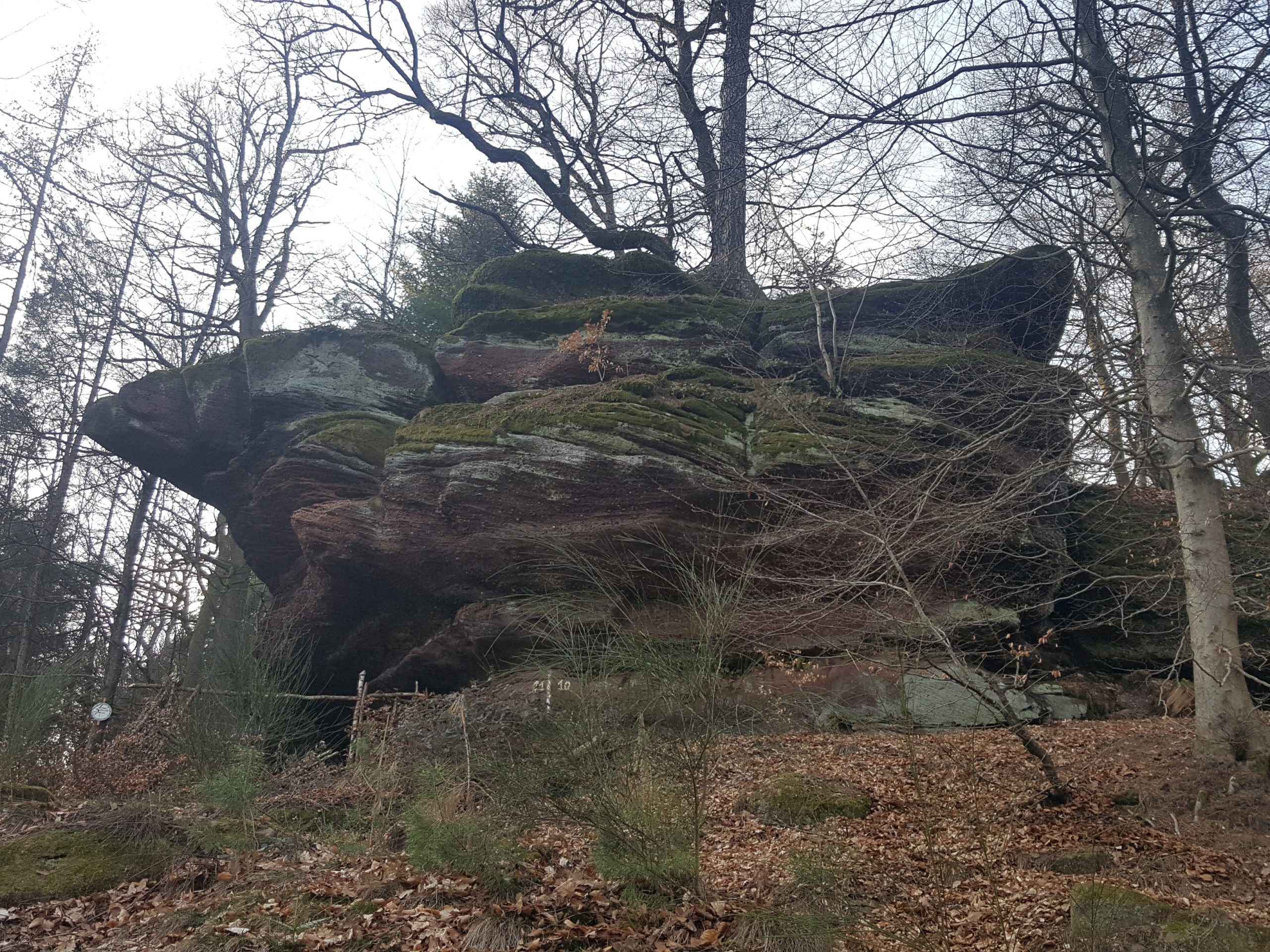 Tourisme/Loisirs - Commune de Dossenheim sur Zinsel